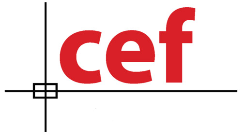 CEF New Charging Carts